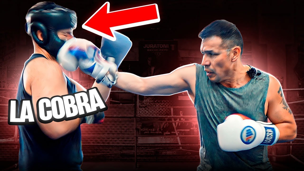 LA COBRA, COBRÓ - Sparring con @lacobraaa - YouTube