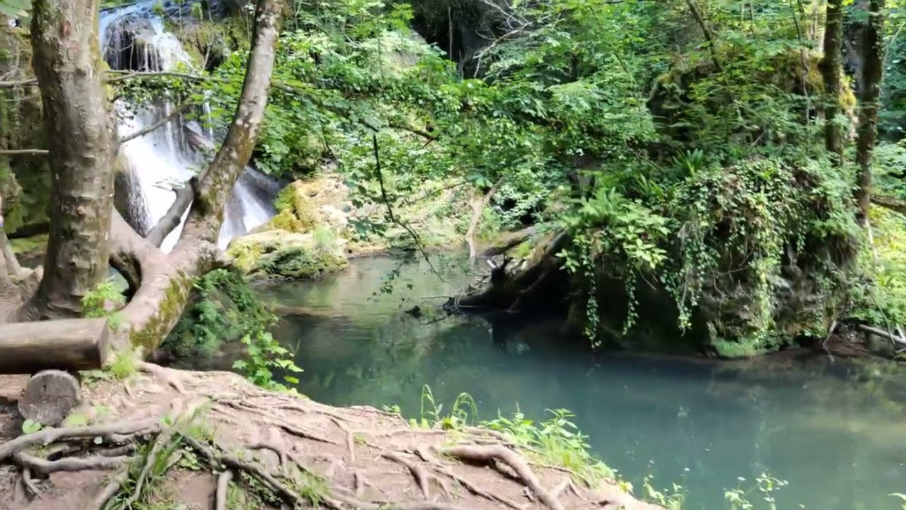 Xiaomi 12X 4k@60fps video test sample 2