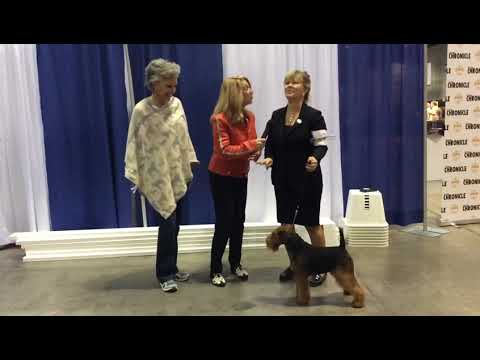 Tracy Szaras and Keith Bailey join Table Talk Live to celebrate Dazzle ...