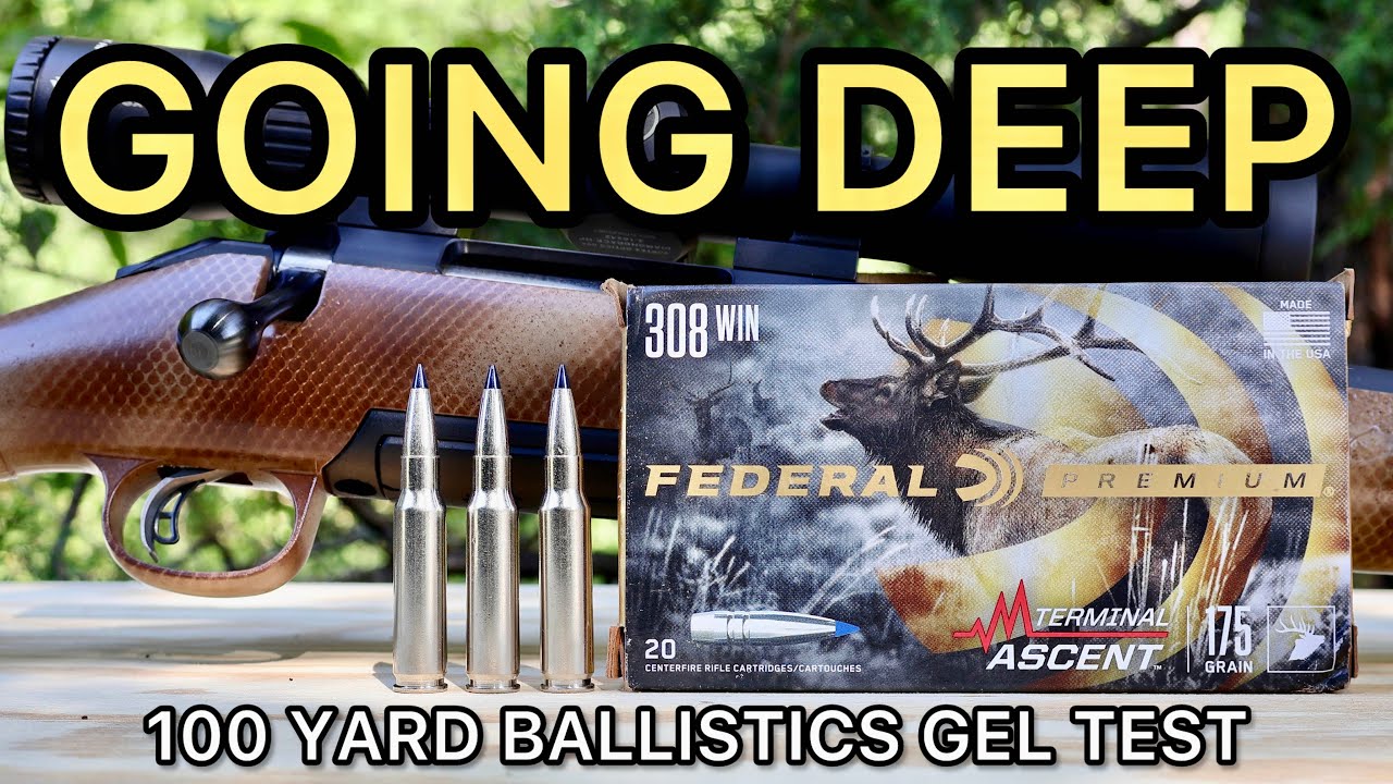 308 Winchester Federal Terminal Ascent Ballistics Gel Ammo Test - YouTube
