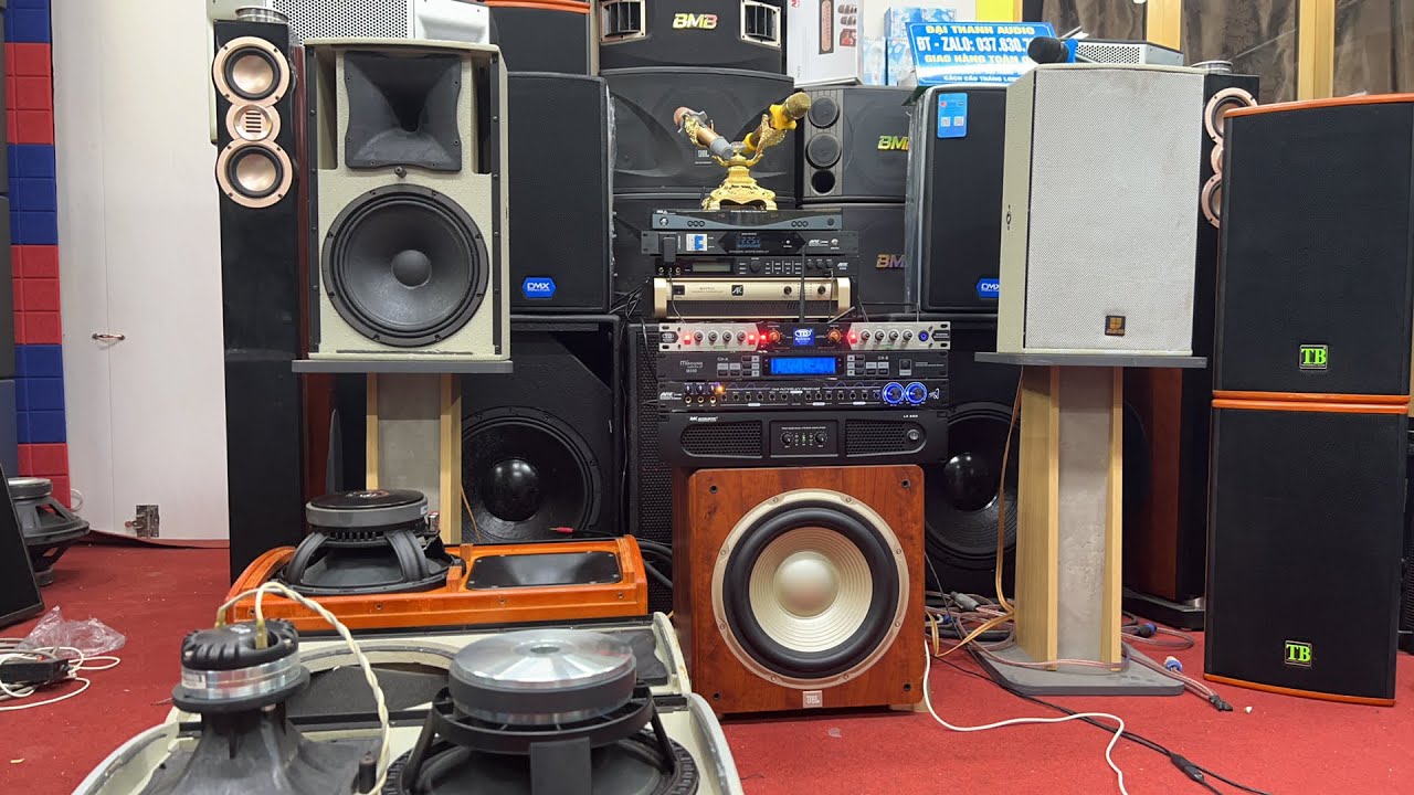 Loa LDH bass 25. Bãi xịn. Củ bass Trep italia. 5 cặp đẹp xin chất - YouTube