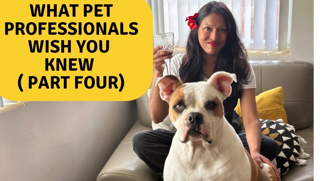 Pet Experts Share Their Tips, Advice, & Wisdom (Part Four: Me & My ...