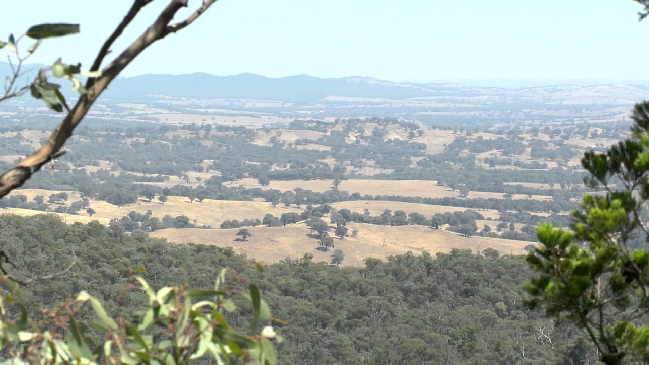 Woomargama National Park - YouTube