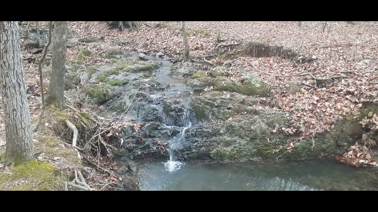 Proving Our Point Part 7 - Mgtow - YouTube