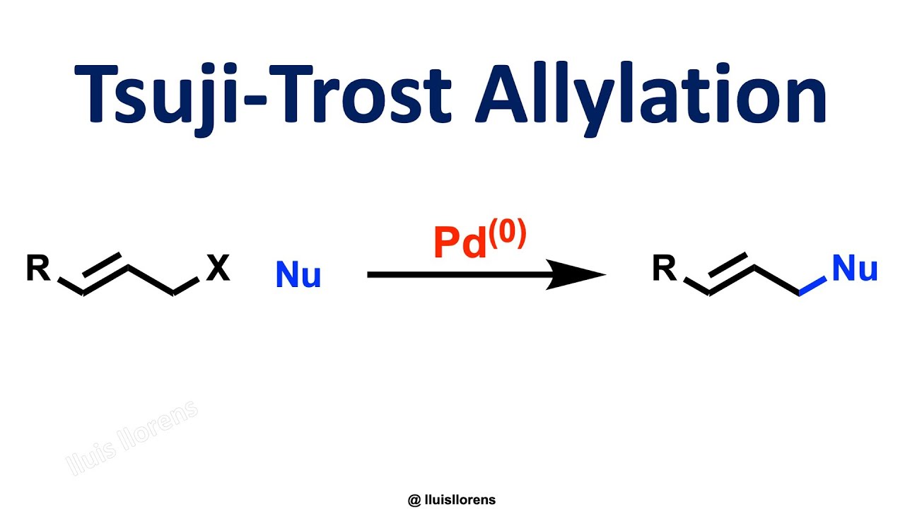Tsuji Trost