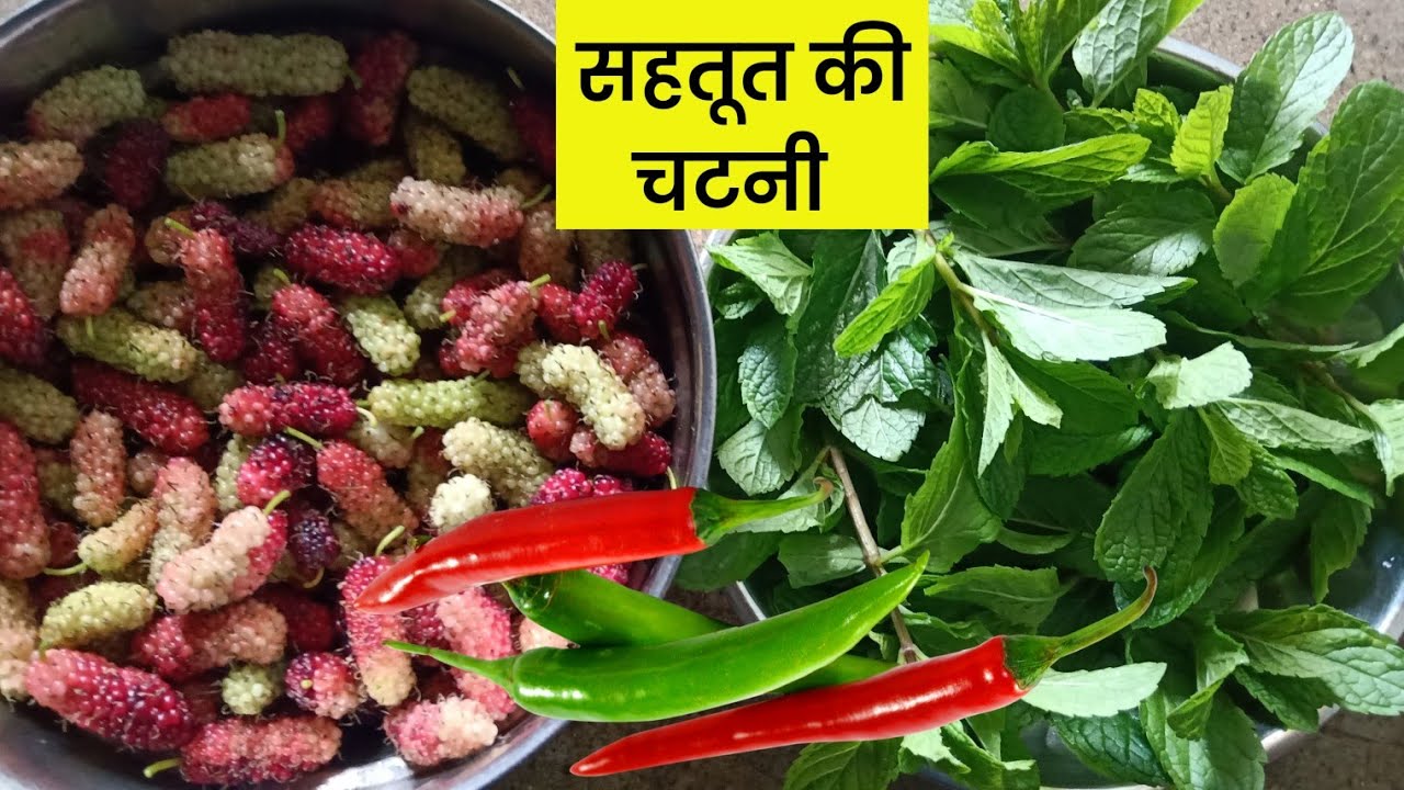 इतने बेहतरीन स्वाद वाला सहतूत की चटनी जिसको भी खिलाएं वो भुला ना पाए ...