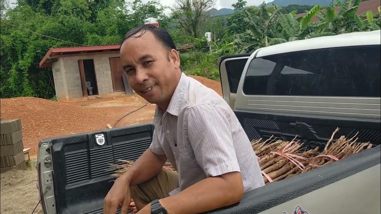 hnub no mus yuav yub ntoo yas mus cog khwv heev tsis khoom li os 25/6/2024 - YouTube