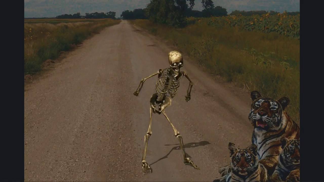 dead skeleton dancing :):) my first edited video!!!!!!. ENTERTAINMENT ...