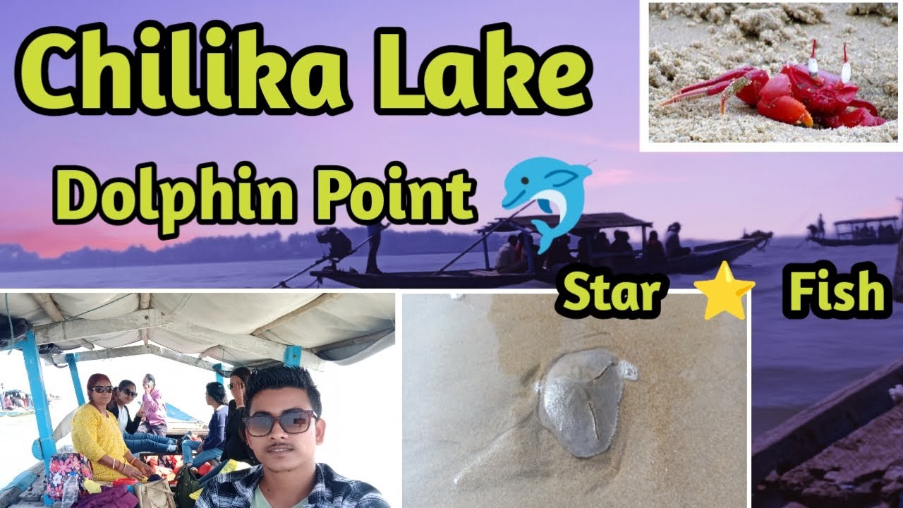 chilika lake in puri || Dolphin Points || Lal Kakra Beach 🏖 - YouTube