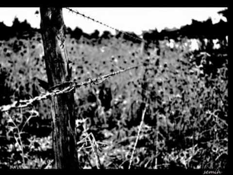 kesmeşeker - cenk taner - YouTube