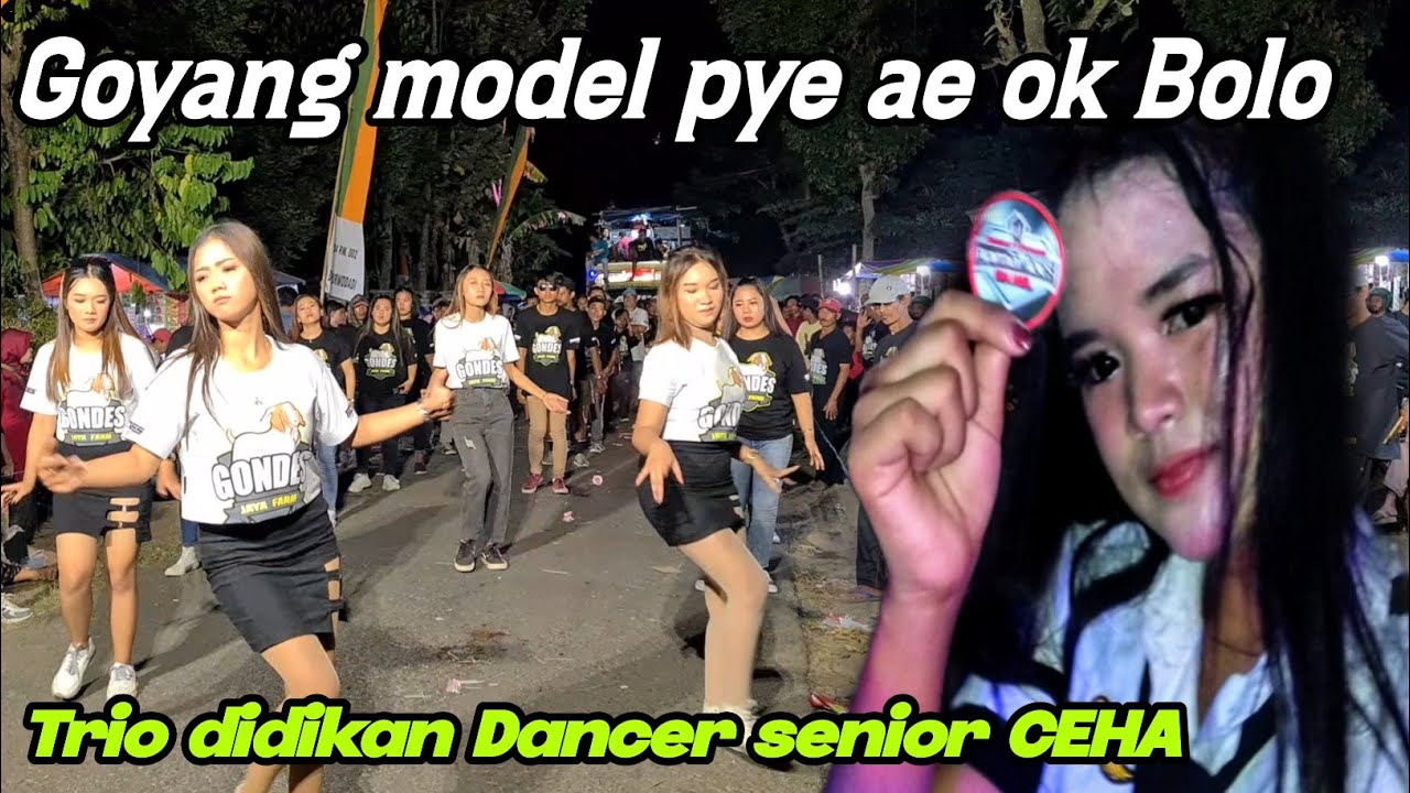 Trio sexy dancer Ceha team gak Ada obat goyangnya💃 gak bahaya ta... - YouTube
