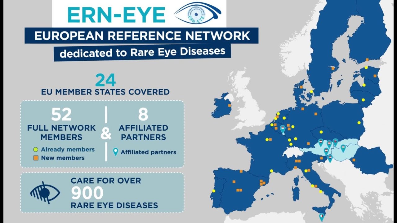 What is ERN-EYE? - New video! - YouTube