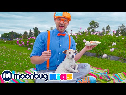 🐶 Blippi Visits a Farm and Finds Animals! 🐔 @Blippi - Educational ...