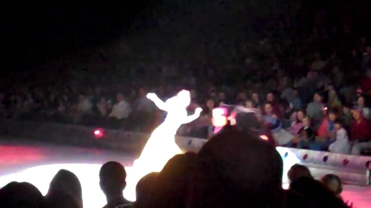 Disney Princesses on Ice part 2 of 4 - YouTube