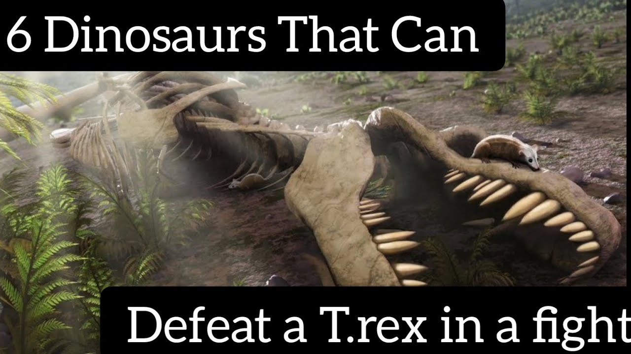 6 Dinosaurs That Can Defeat A T.rex In A Fight - YouTube