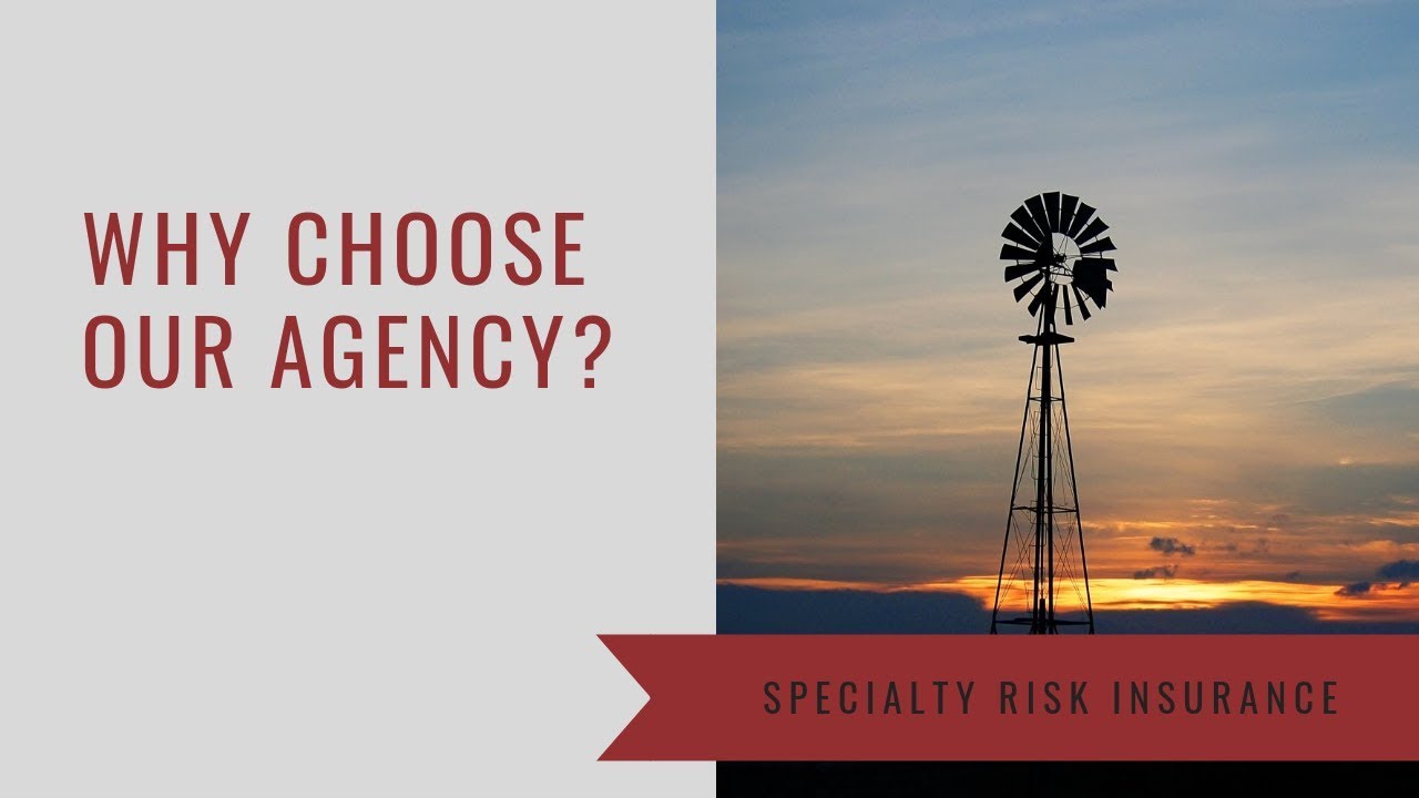 Why Choose Specialty Risk Insurance [2018] - YouTube