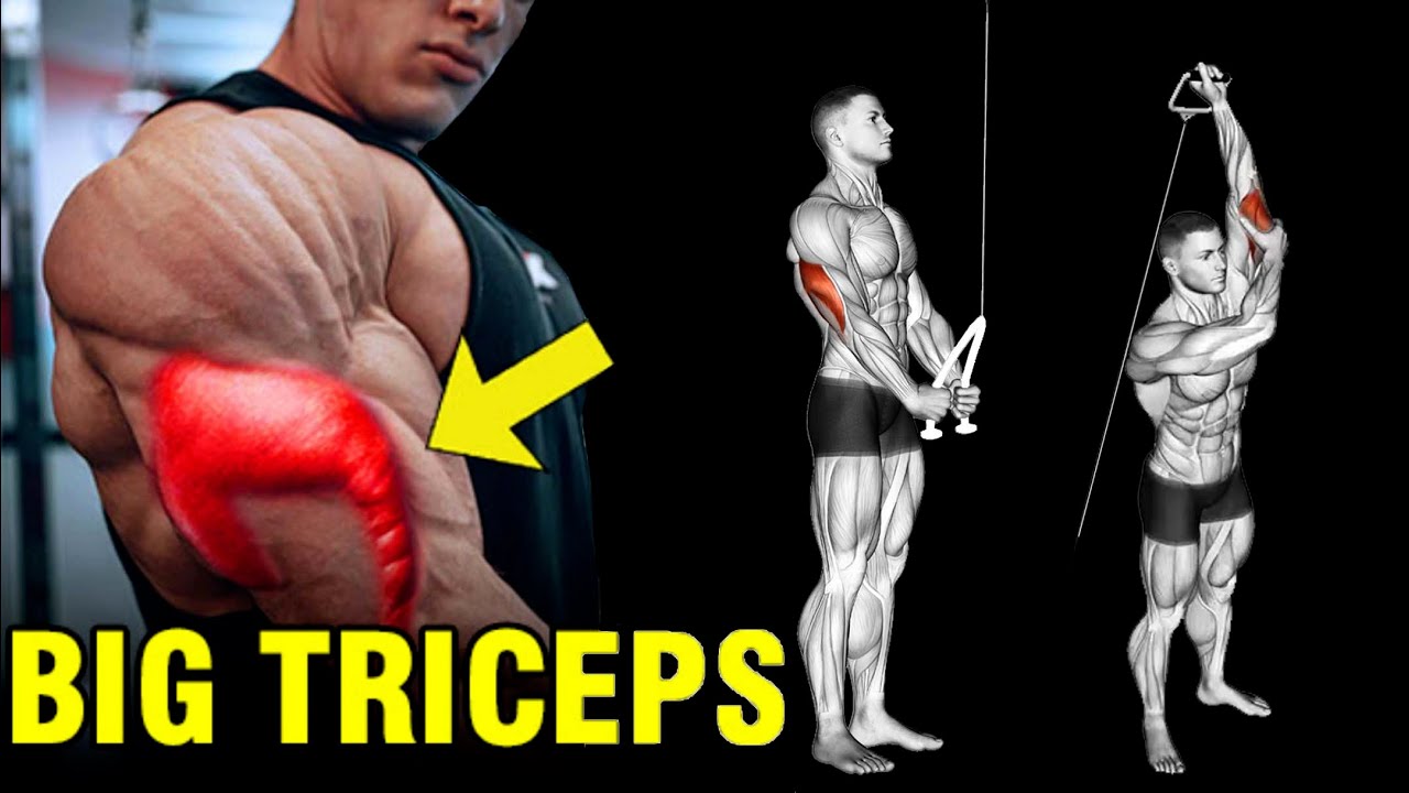 5 Useful Exercises to Make Your Triceps Bigger Stronger - YouTube
