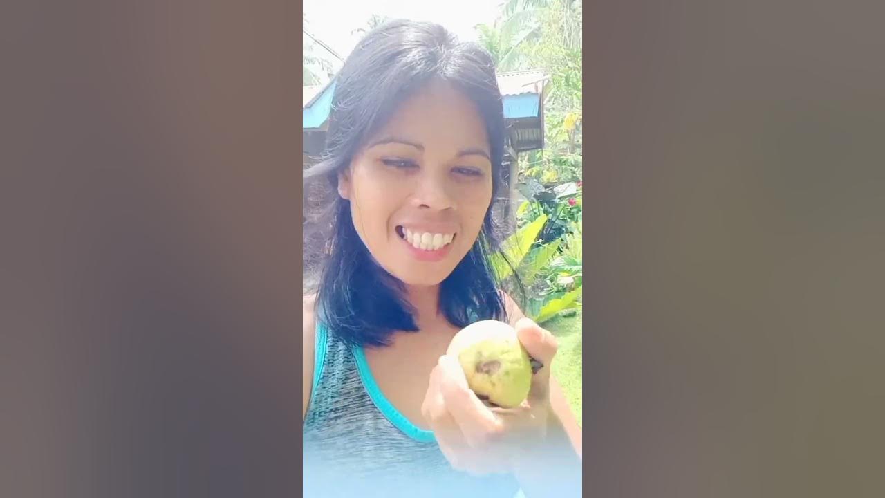 bakit may bunga na ang maliit na puno na bayabas, samantalang ang malaki na puno walang bunga ...