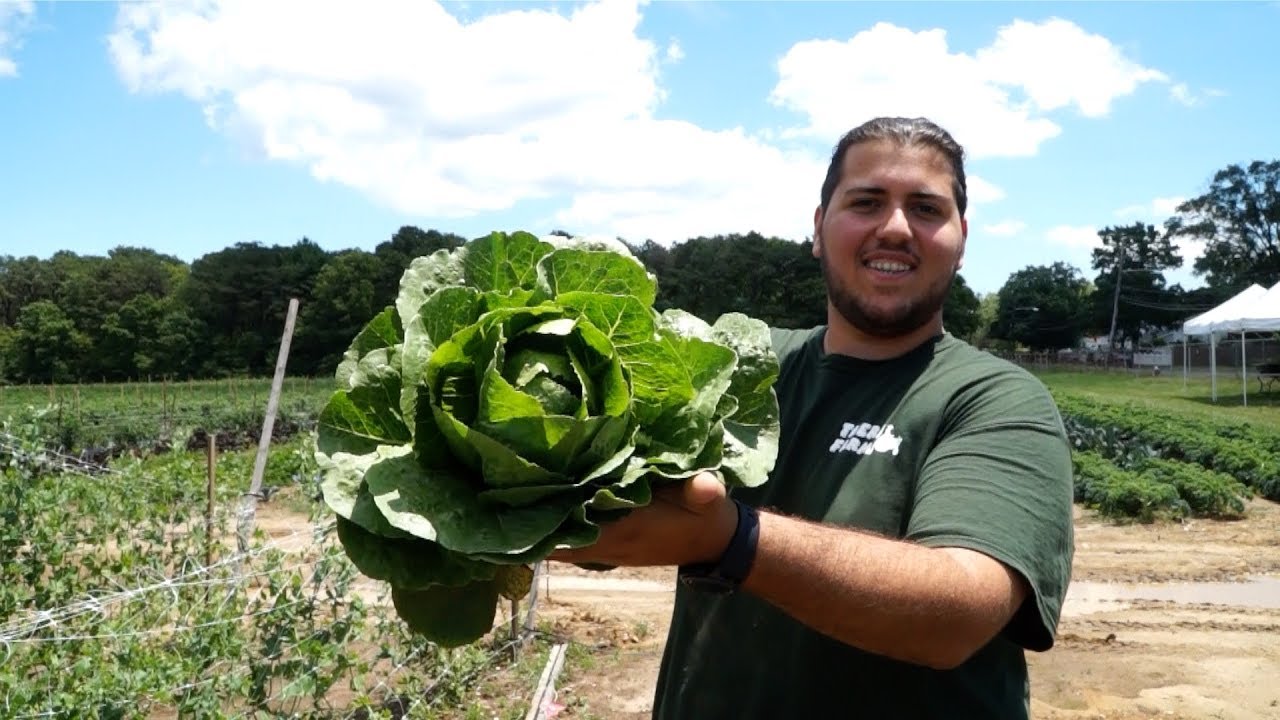 Holy CSA! Thera Farms and The Sisters of St Josephs Organic Options ...
