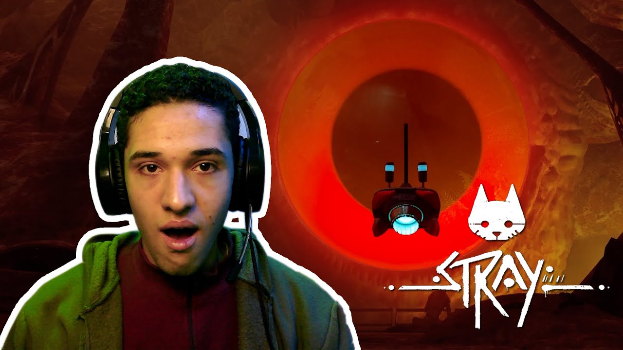 Finding The Zerk's Lair In The Sewers | Stray #5 - YouTube