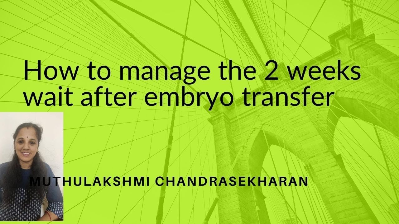 How to manage the two weeks wait after embryo transfer in IVF? - YouTube