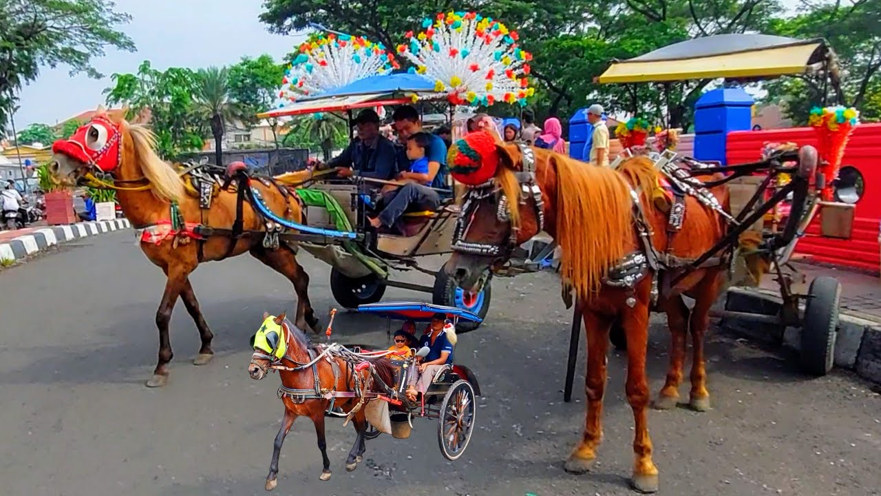 Kuda Lucu ‼️ Kuda Delman 🤲 Naik Delman Religi Rahmatan Lil'Alamiin 🤲 ...