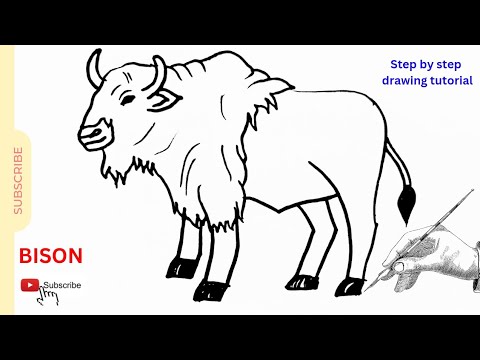 how to draw a bison easy step by step 🤩|| easy drawing tutorial for ...