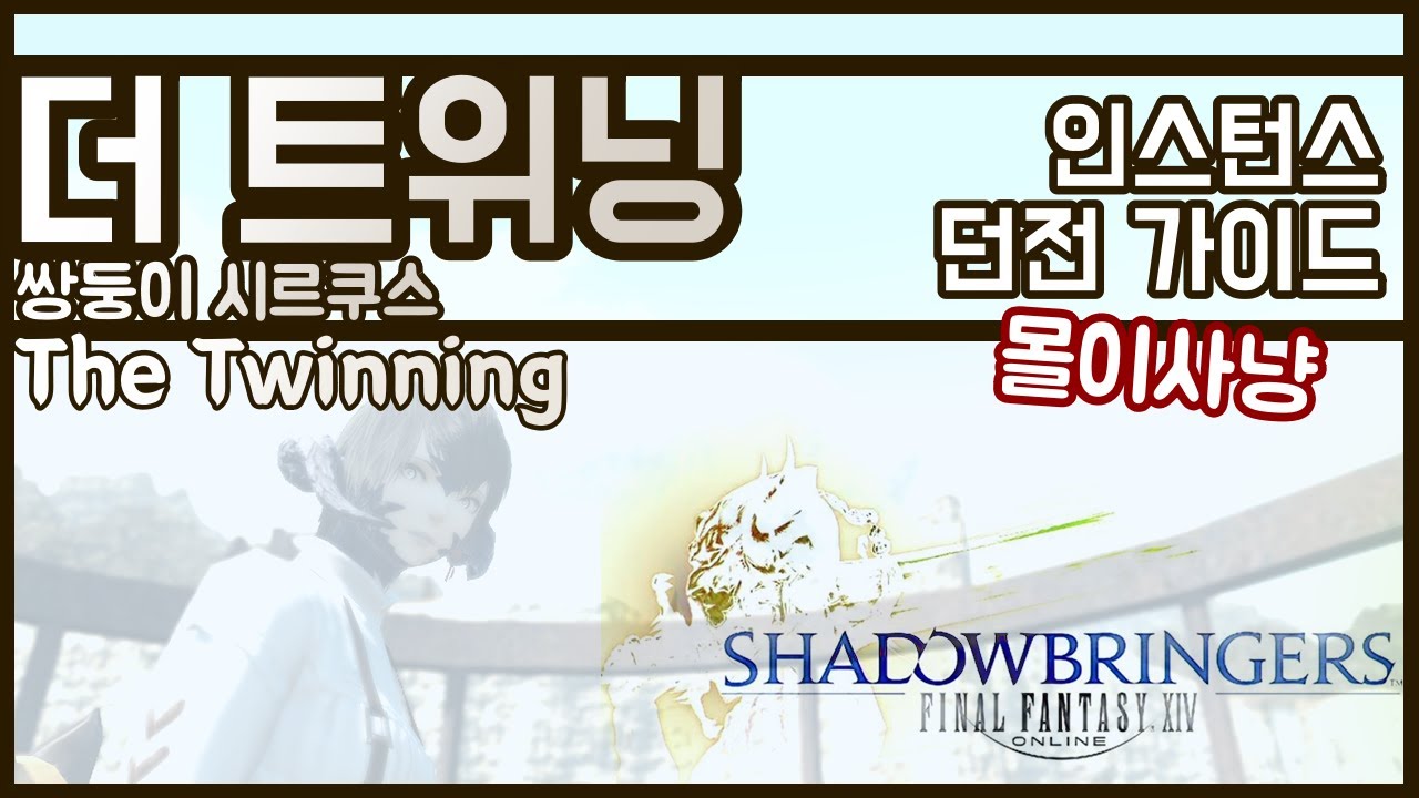 [FFXIV] 더 트위닝 (The Twinning) 던전 가이드 / 탱시점+몰이사냥 - YouTube
