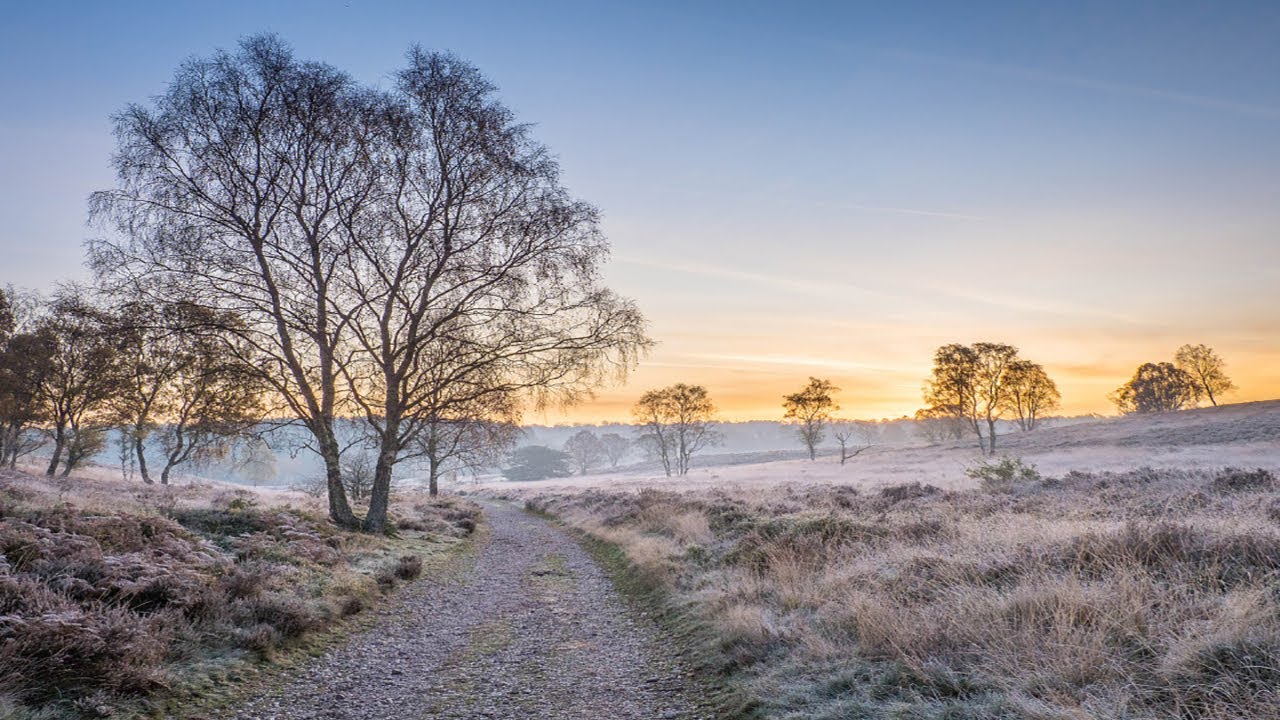 UK Weather Forecast: Cold, Frosty And Icy Weather Holds Sway ...