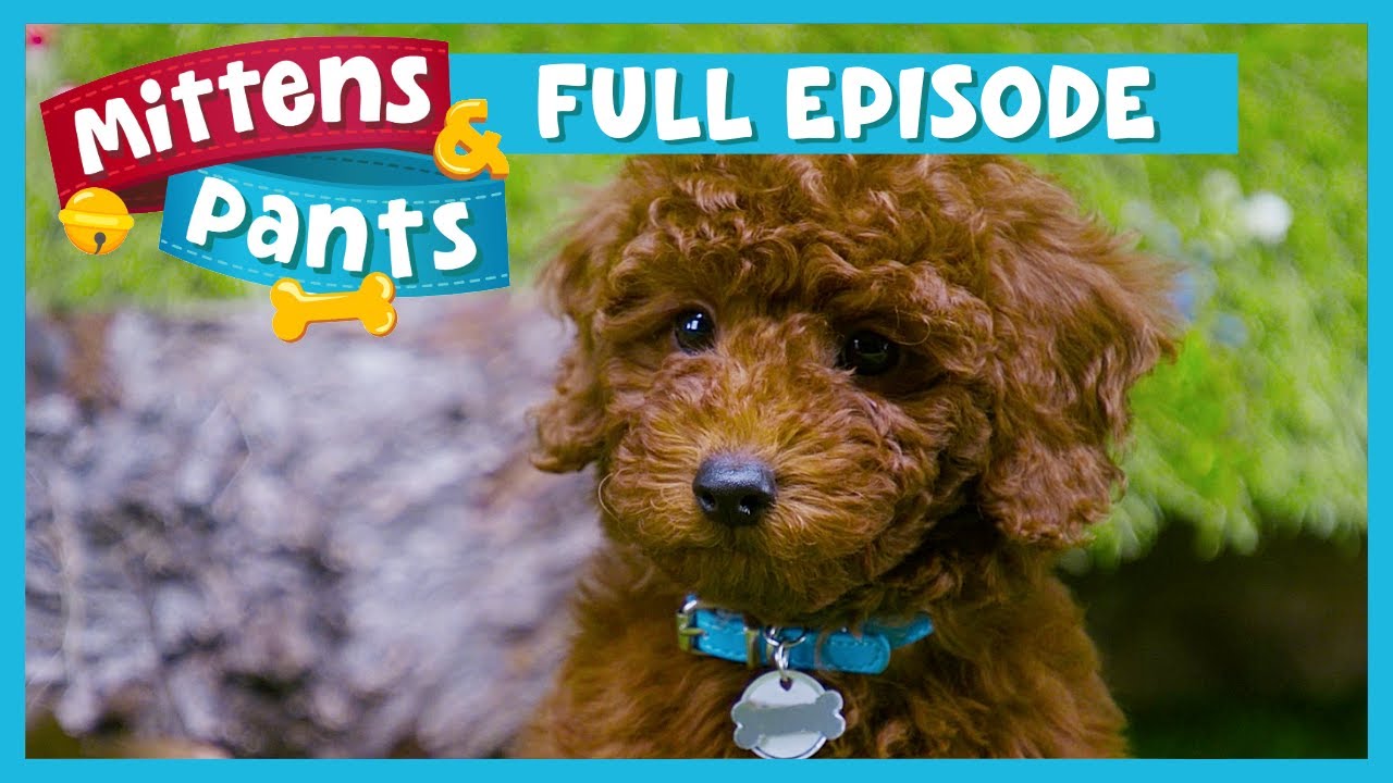 Puppies and Holes 🐶 | Mittens & Pants Full Episodes - YouTube