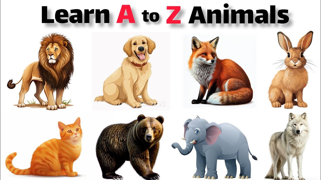 A to Z animals name | a to z animals name in english | animals ...