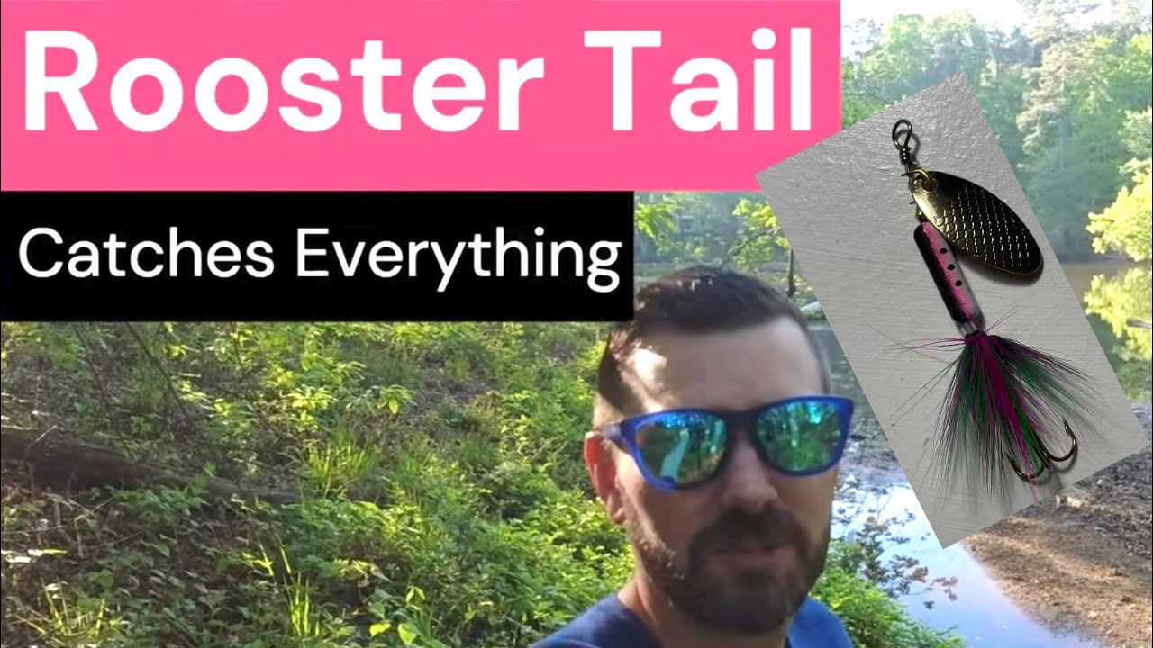 Rooster Tail Catches Everything - YouTube