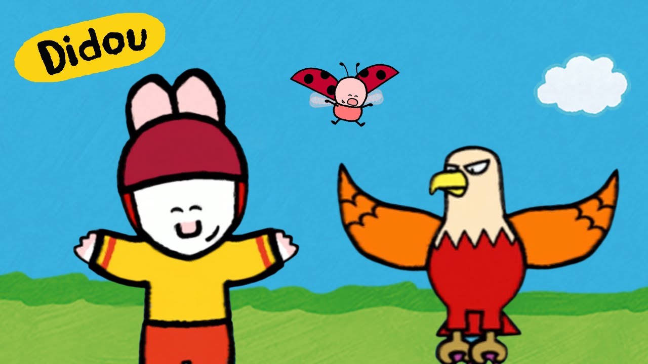 Didou dessine moi : Un Aigle Royal 🦅 | Compilation Enfants - YouTube