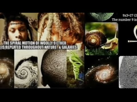 Theses Clips Smashed Together Show Us The Truth In Plain Site - YouTube