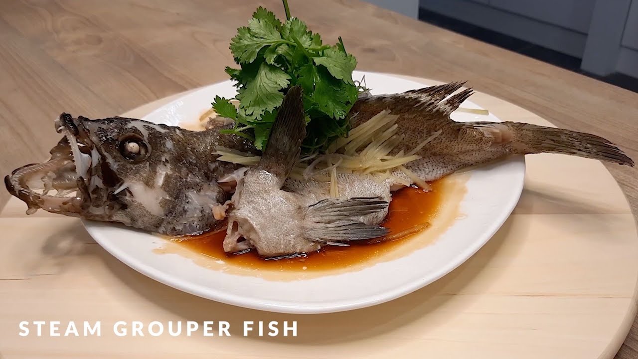 Steam Groupers Fish - Temperature Steaming 105ºC / 10Minutes - YouTube