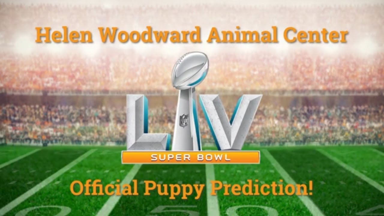 2021 Official Super Bowl LV Puppy Prediction - YouTube