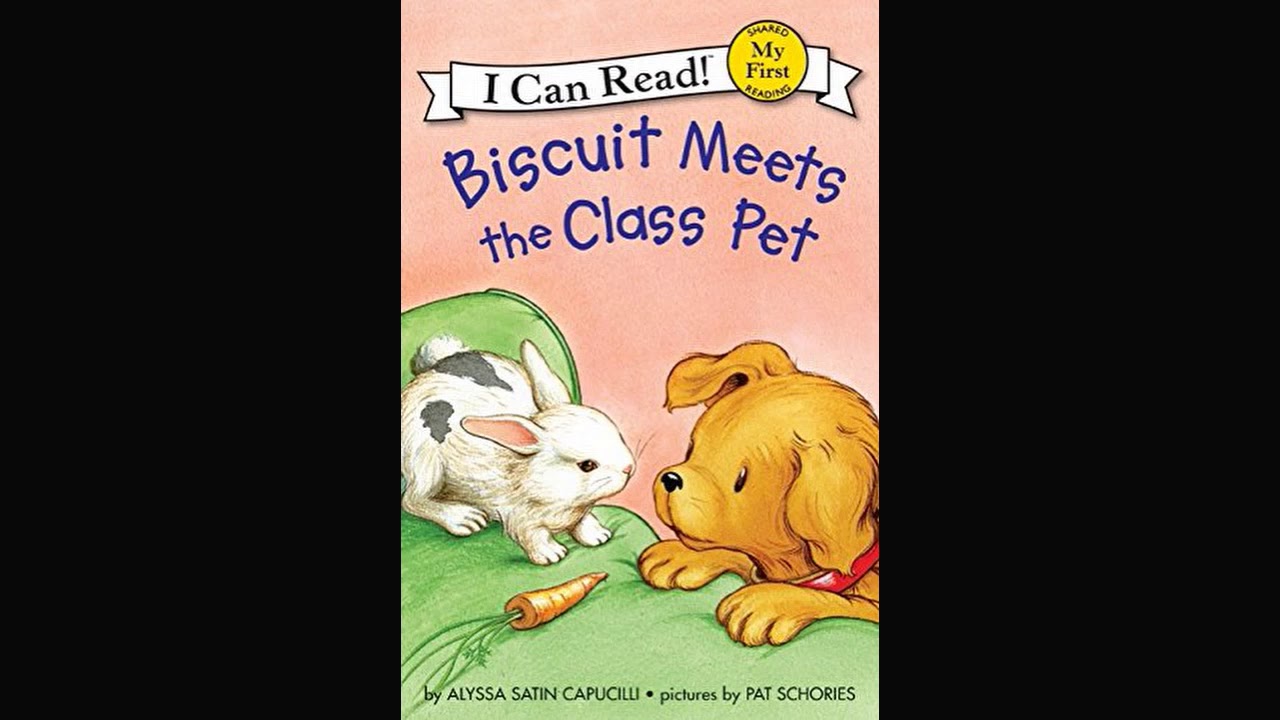 0.8 Duranno Library Biscuit Meets a Class Pet - YouTube