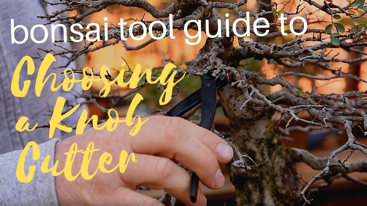 How to choose a bonsai Knob Cutters - YouTube