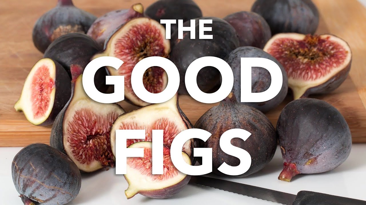 Sermon 08/23/20: The Good Figs - YouTube