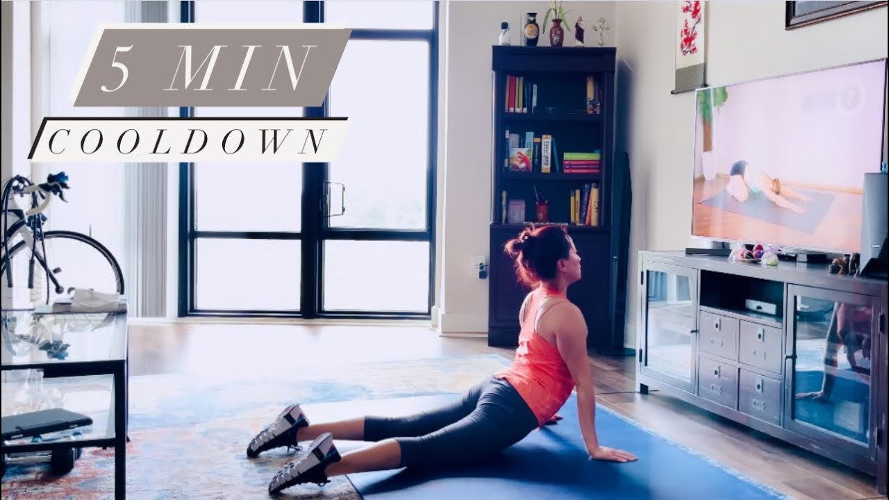 5 MIN FULL BODY COOL DOWN STRETCHES (Recovery & Flexibility) - YouTube