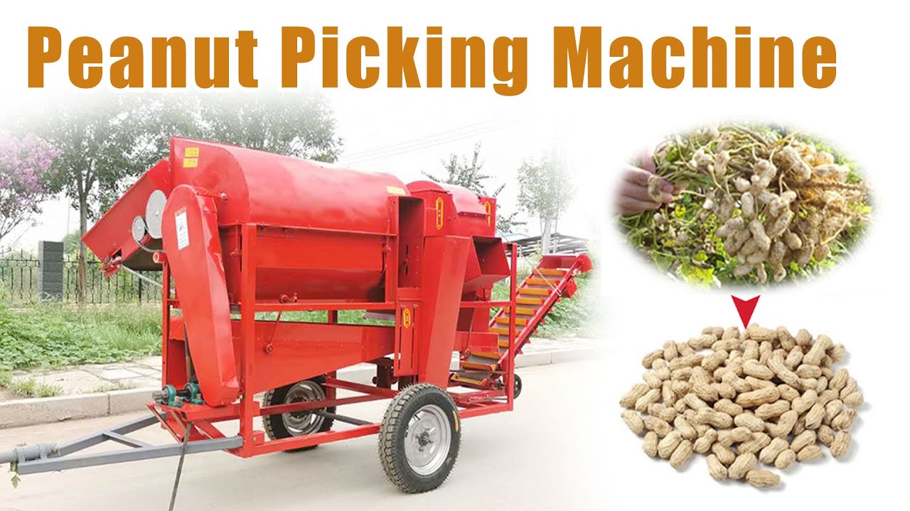 Revolutionary Peanut Picker: A Panoramic View of The Efficient ...
