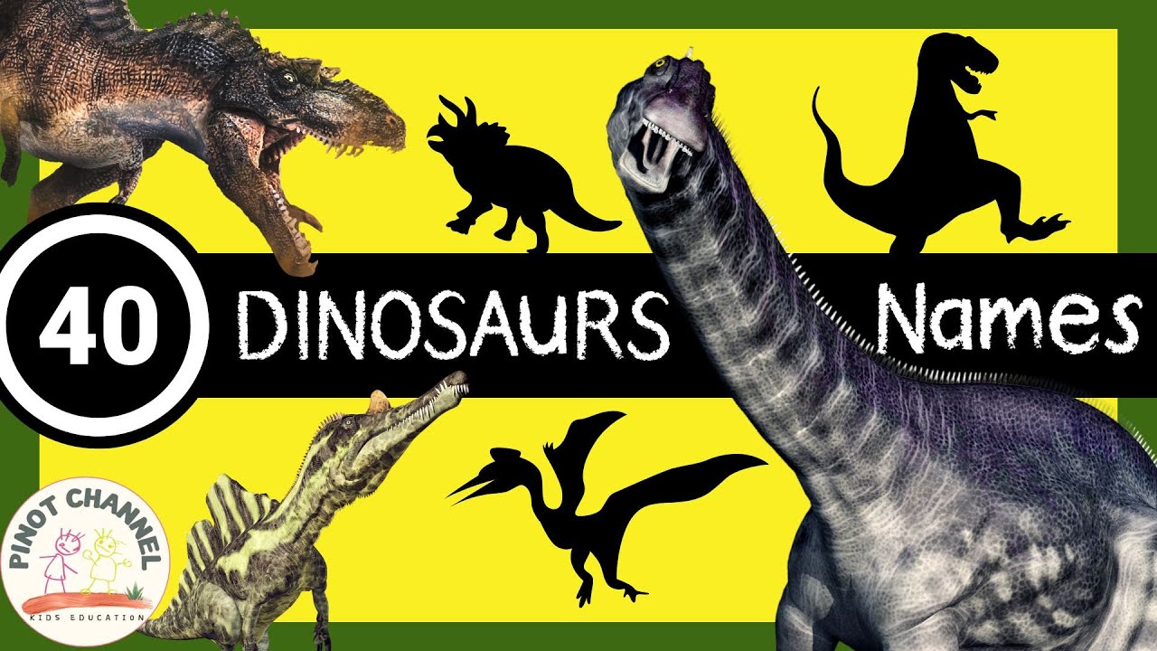 Learn 40 dinosaurs names / How many dinosaurs names do you know ...