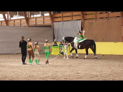 CVN Turbenthal 2019, Calimero 2 Kür, 1. Rang, Kat.BJ