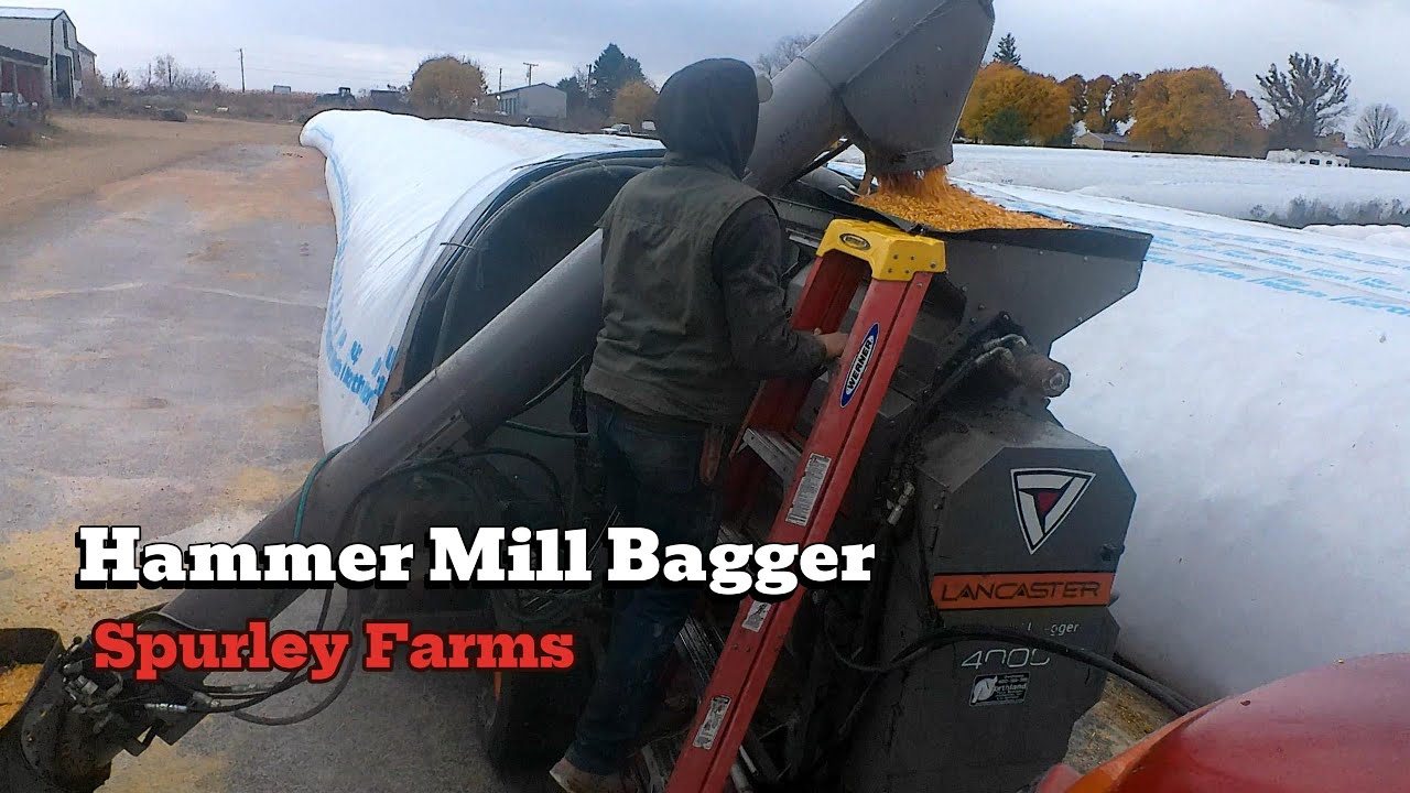 Picking, Grinding, and Bagging Corn - YouTube