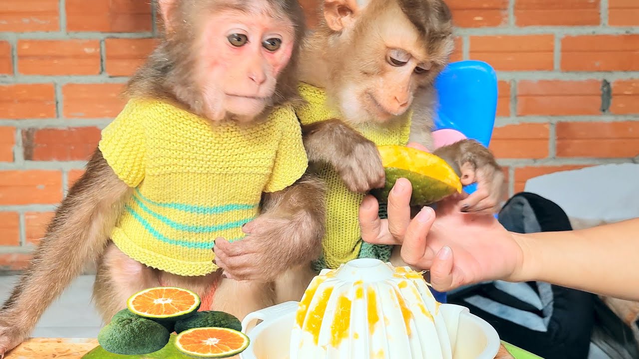 Ms Vui squeezed orange juice, Sam boy's favorite - YouTube