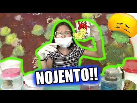 TEM BICHOS NAS MINHAS SLIMES - SLIMES BOAS, RUINS E ESTRAGADAS