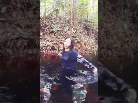 Virgin jungle red water river Central Borneo