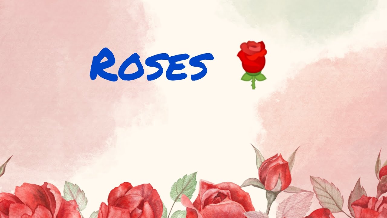 5 Lines Essay On Rose 🌹 | Easy Sentences On Rose 🌹 | Essay in English ...