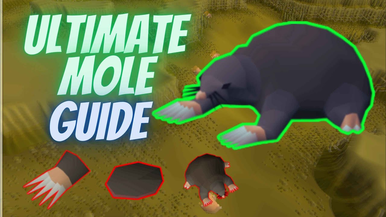 Ultimate Mole Guide (2/45) - OSRS - YouTube