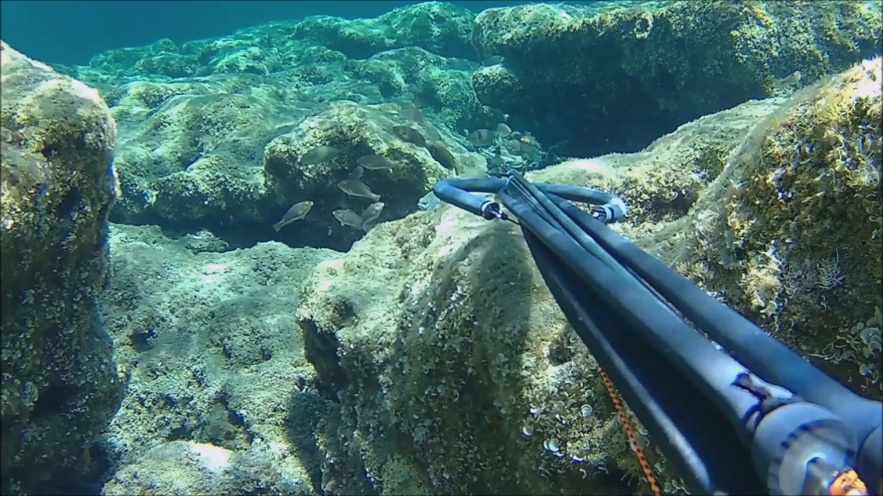 Ψαροντούφεκο - Κύπρος ( Spearfishing - Cyprus) - YouTube